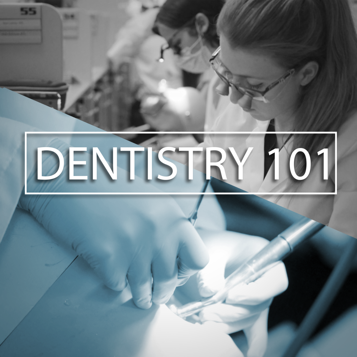 Dentistry 101 | Michigan Online