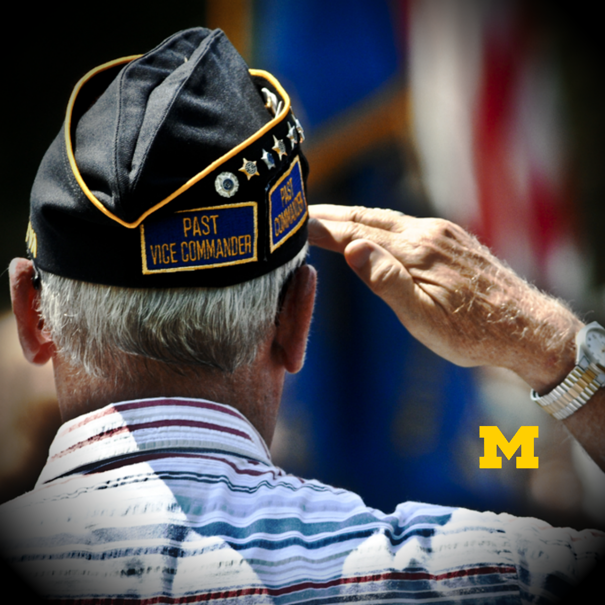 Service Transformed: Lessons in U.S. Veteran Centered Care | Michigan ...